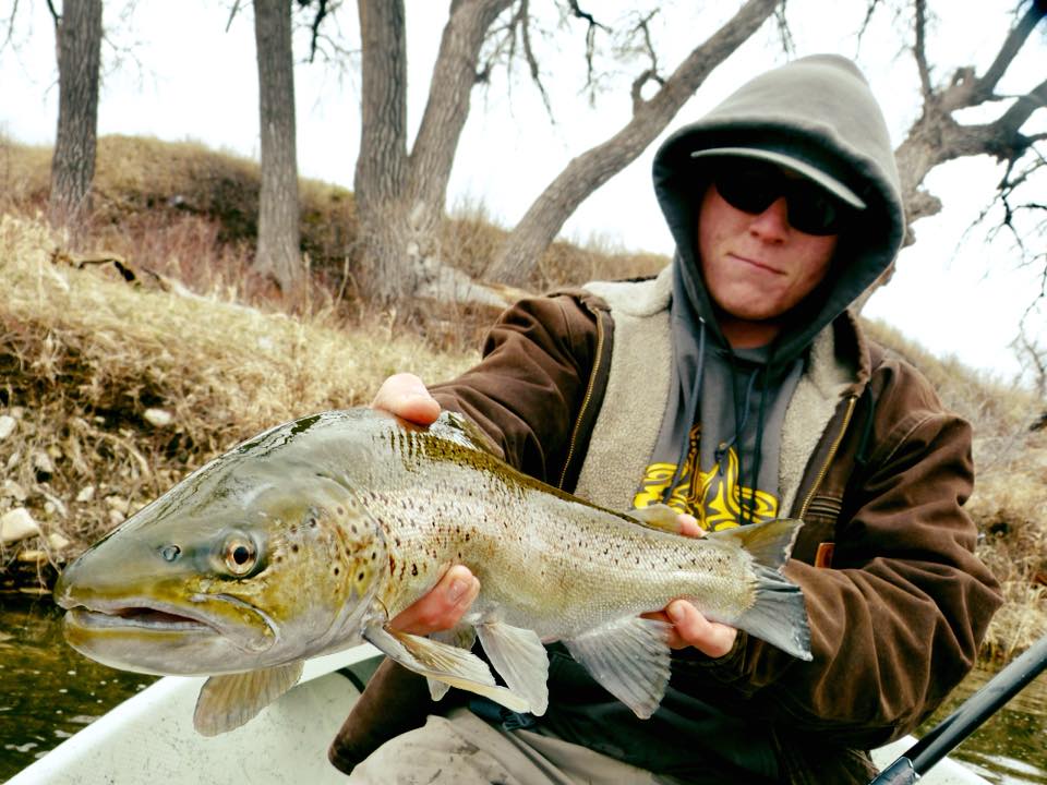 Bighorn River Fly Fishing - Montana Fly Fishing & Bird Hunting