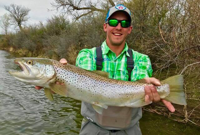 27 1/2 inch brown trout! Nicely done Phil! Wow! - Montana Fly Fishing ...