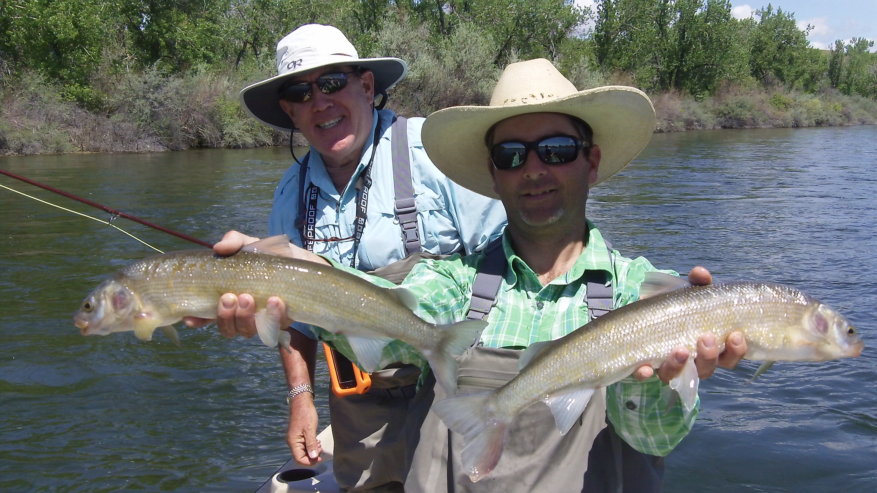 A very unusual site! Doubles on Whitefish! - Montana Fly Fishing & Bird ...